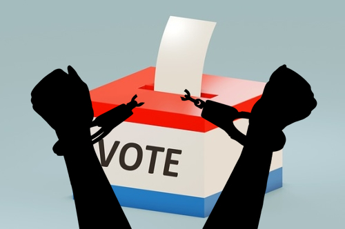 vote freedom project